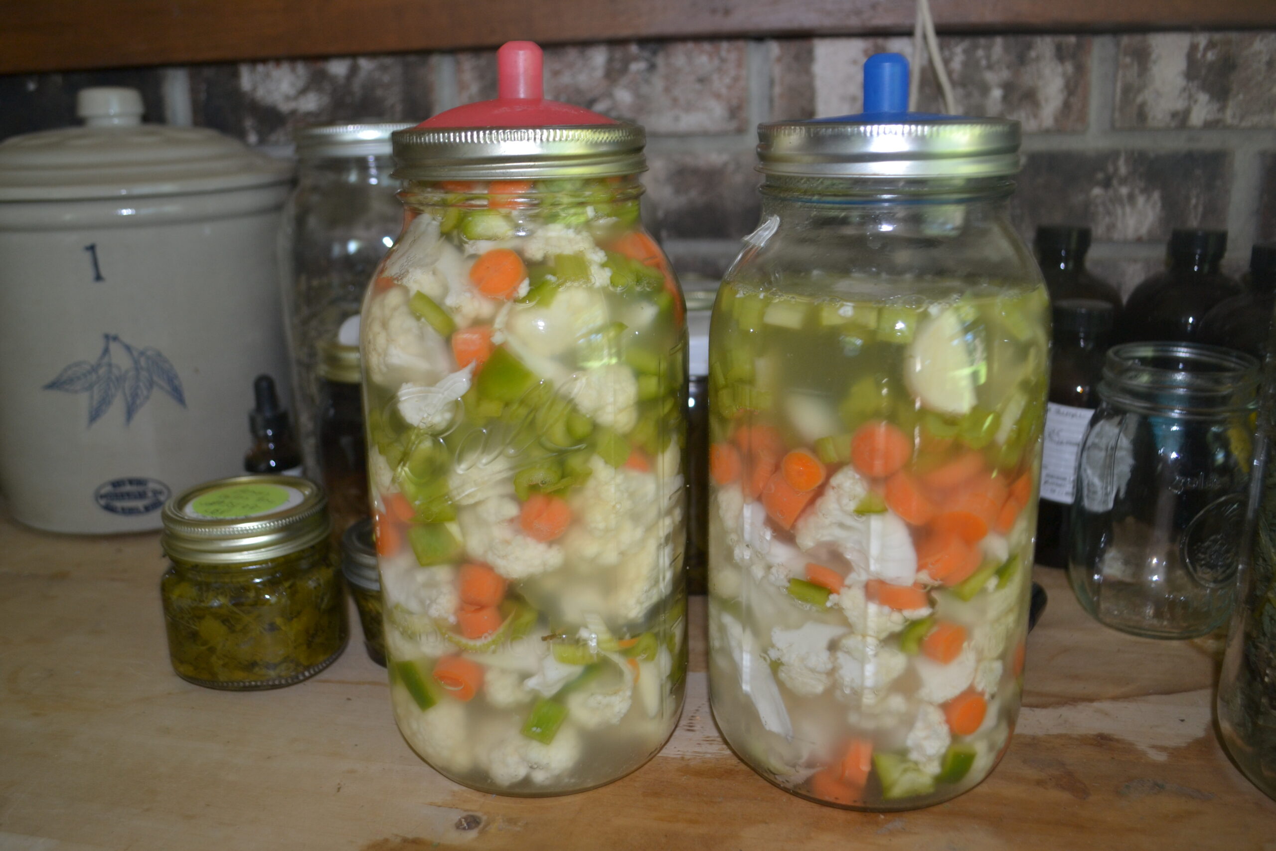 How to Make Lacto-Fermented Vegetables (Giardini) - Amy Doeun